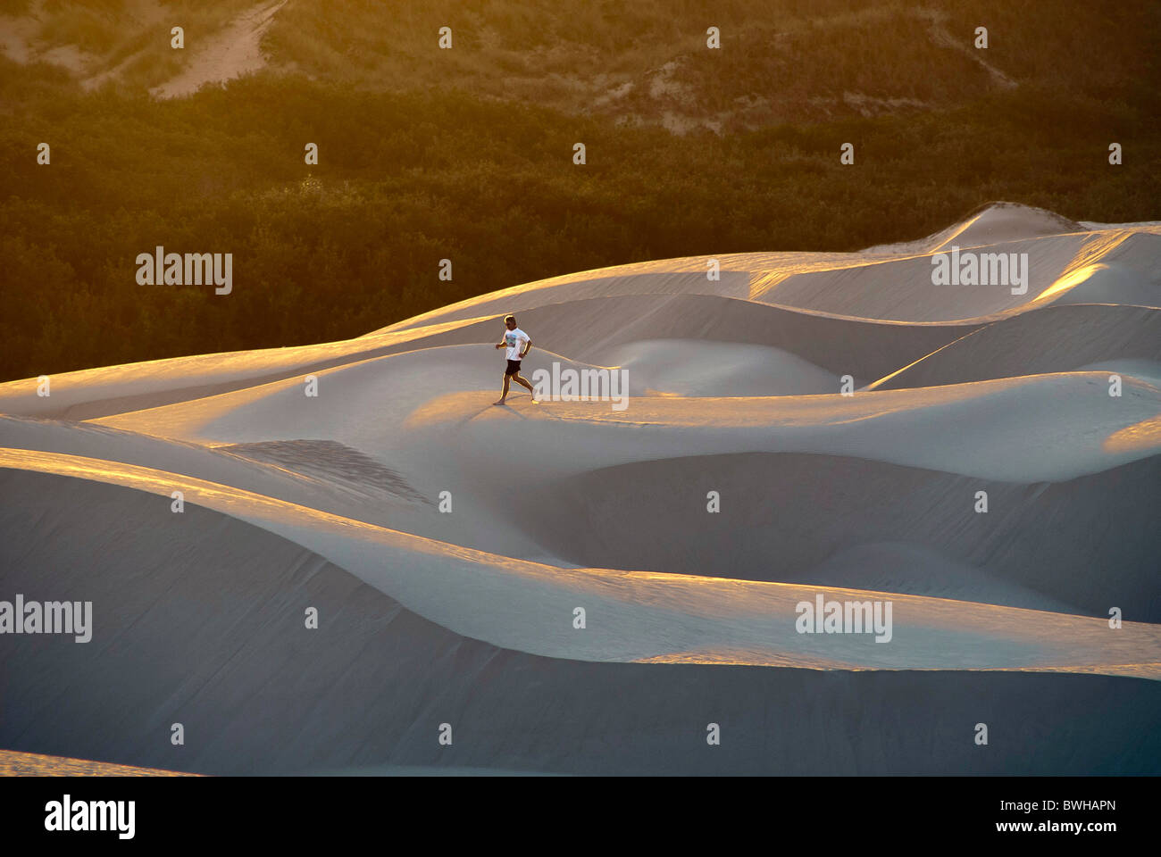 Dunes oceano pismo bank hi-res stock photography and images - Alamy