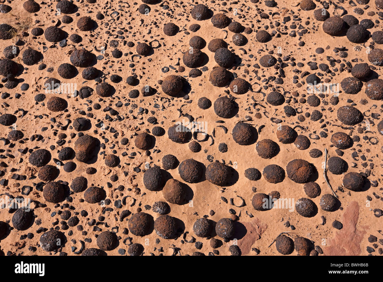 Moqui Marbles, Grand Staircase-Escalante National Monument, Utah, USA ...