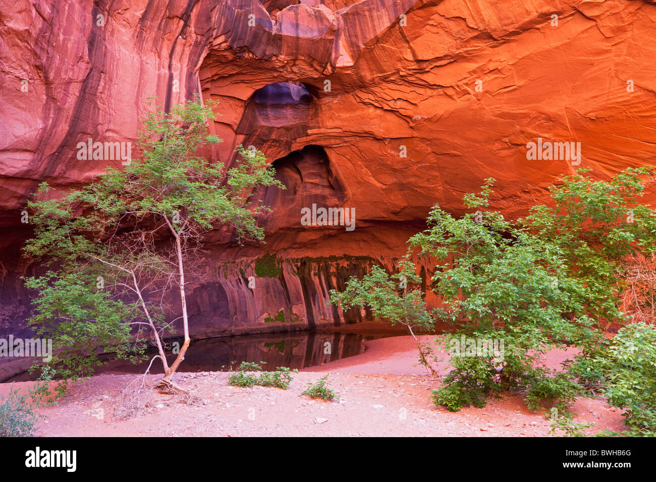 The golden cathedral hi-res stock photography and images - Alamy