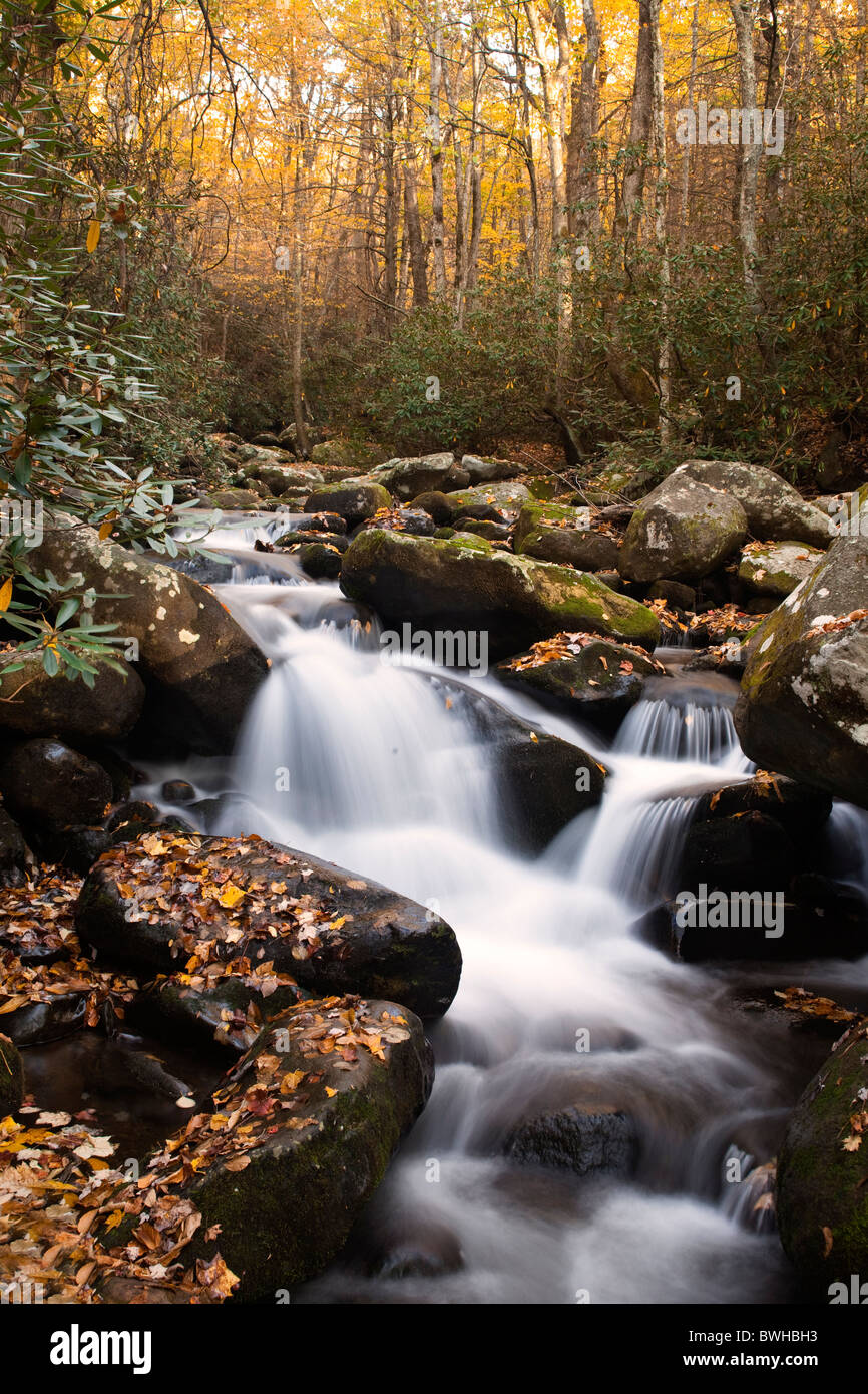 Roaring Fork Motor Trail High Resolution Stock Photography and Images ...
