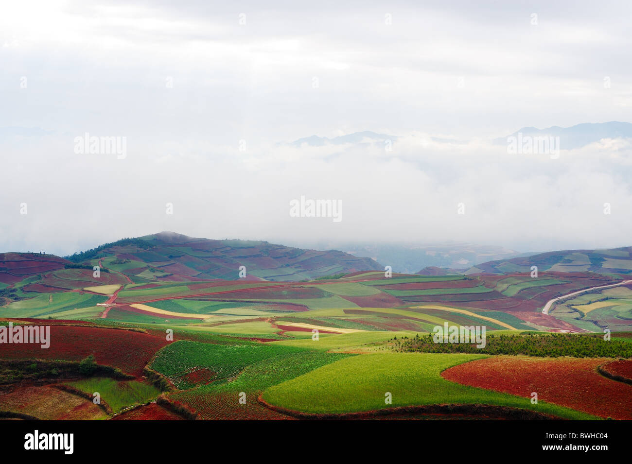Field landscape in Yunnan Province, southwest of China Stock Photo - Alamy