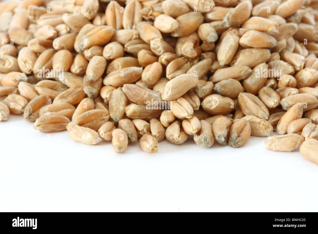 Rye corn seeds - macro view Stock Photo - Alamy