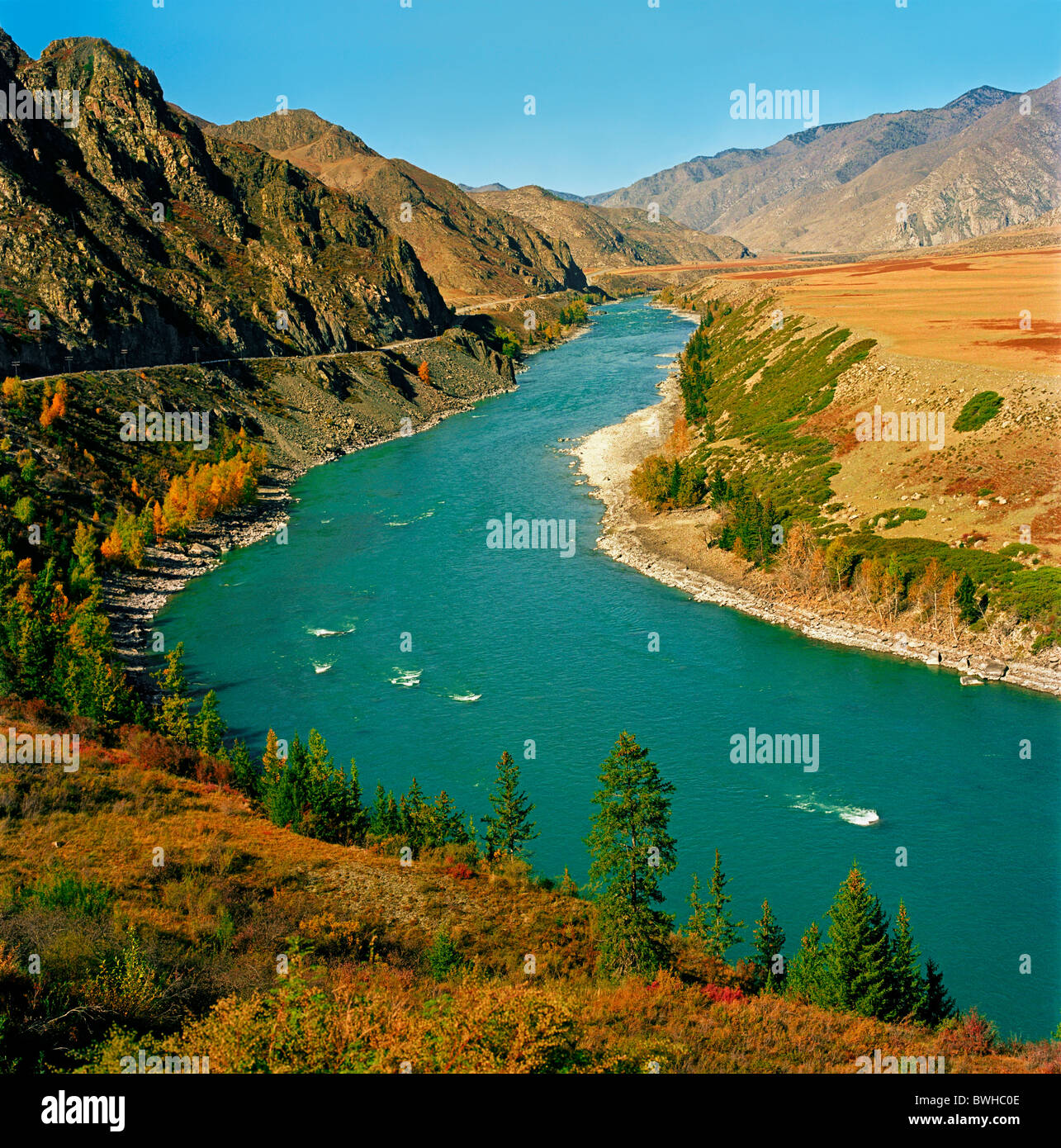 Katun River. Autumn colors. The Altai Mountains, Siberia, Russia Stock ...