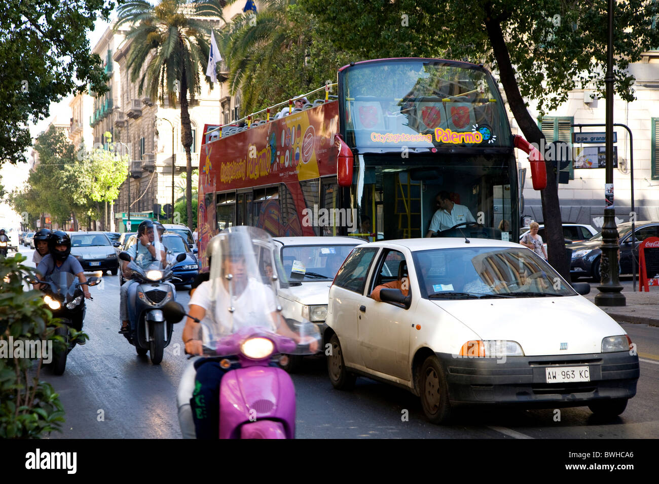 Sightseeing bus, tourist bus, traffic, palm trees, Palermo, Sicily ...