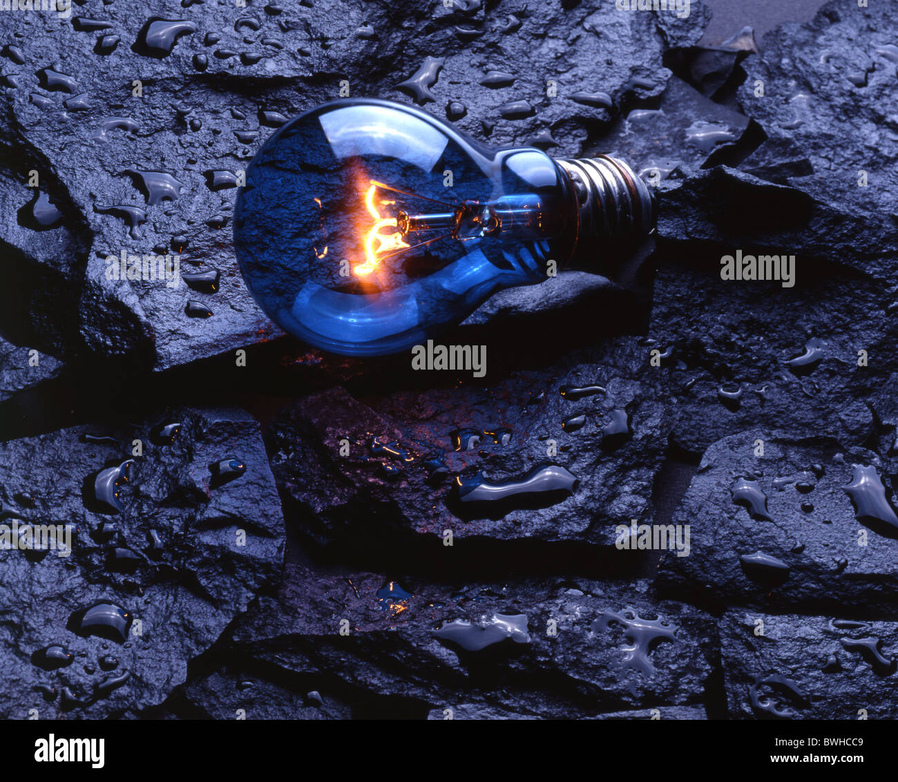 Alight lamp bulb lye upon wet rocks Stock Photo - Alamy
