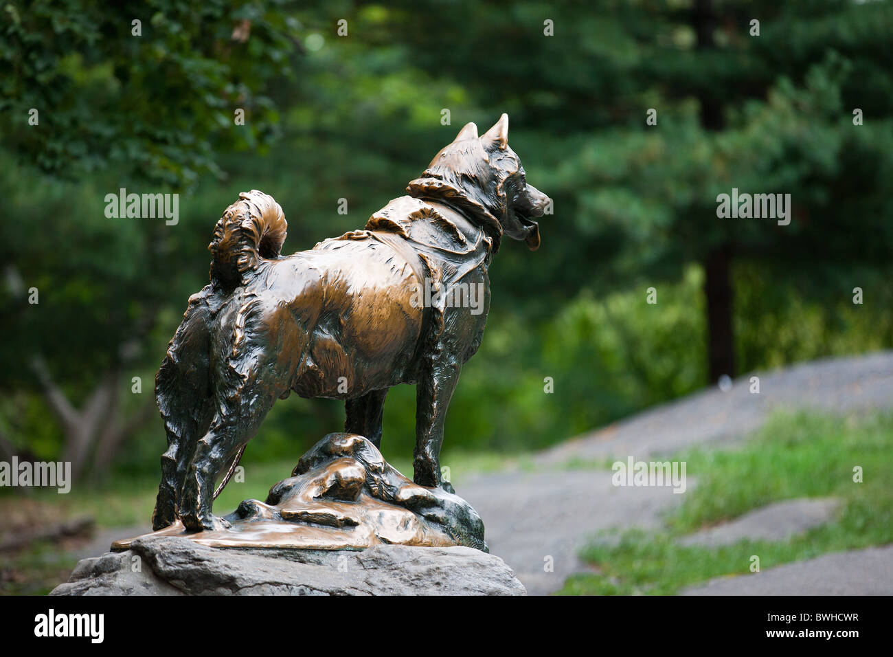U.S.A., New York, Manhattan, the wolf statue in Central Park Stock ...