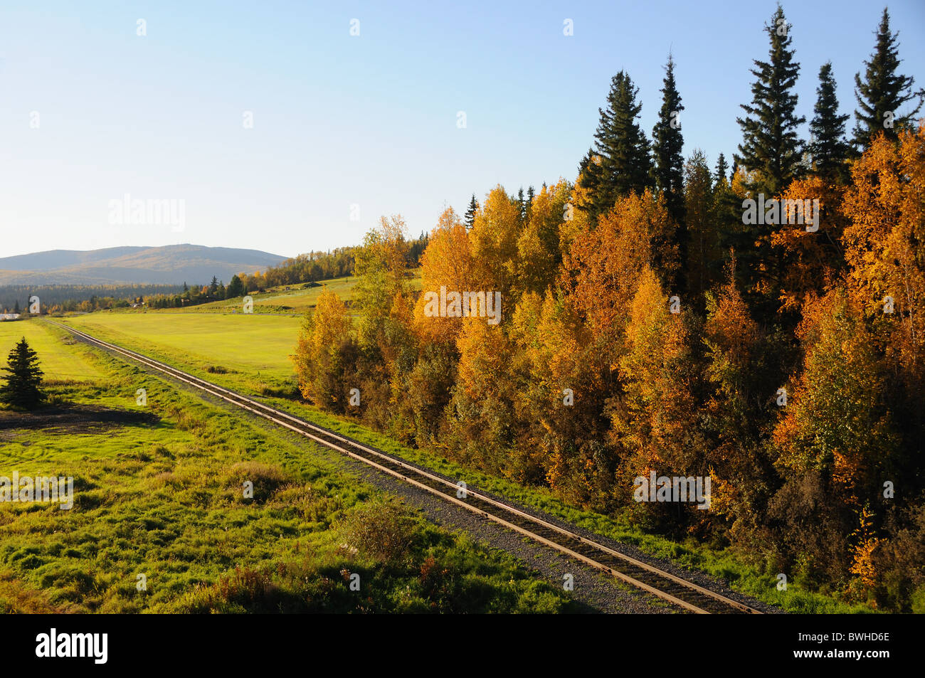 Alaska railroad train fairbanks hi-res stock photography and images - Alamy