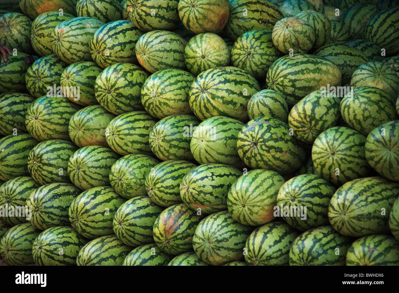 Watermelons for sale in a market in Goa, India Stock Photo - Alamy