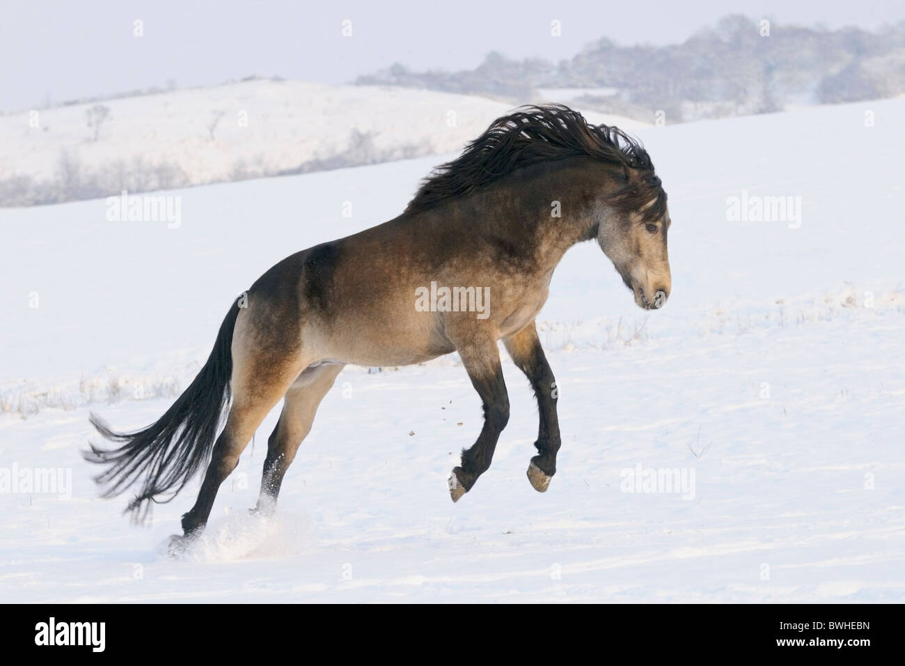 Connemara winter hi-res stock photography and images - Alamy