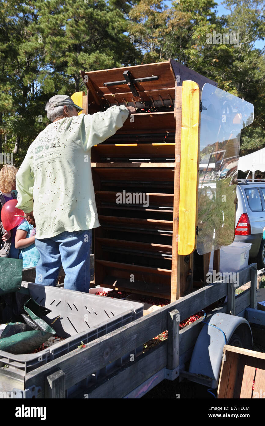 Cranberry separating machine hi-res stock photography and images - Alamy