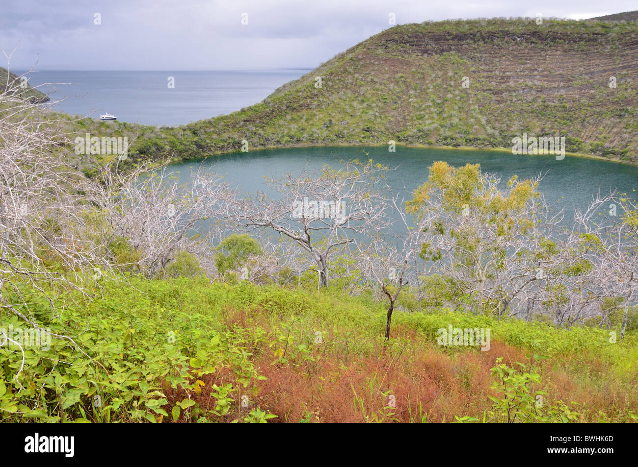 Across Darwin Lake, Isabela Island Stock Photo - Alamy