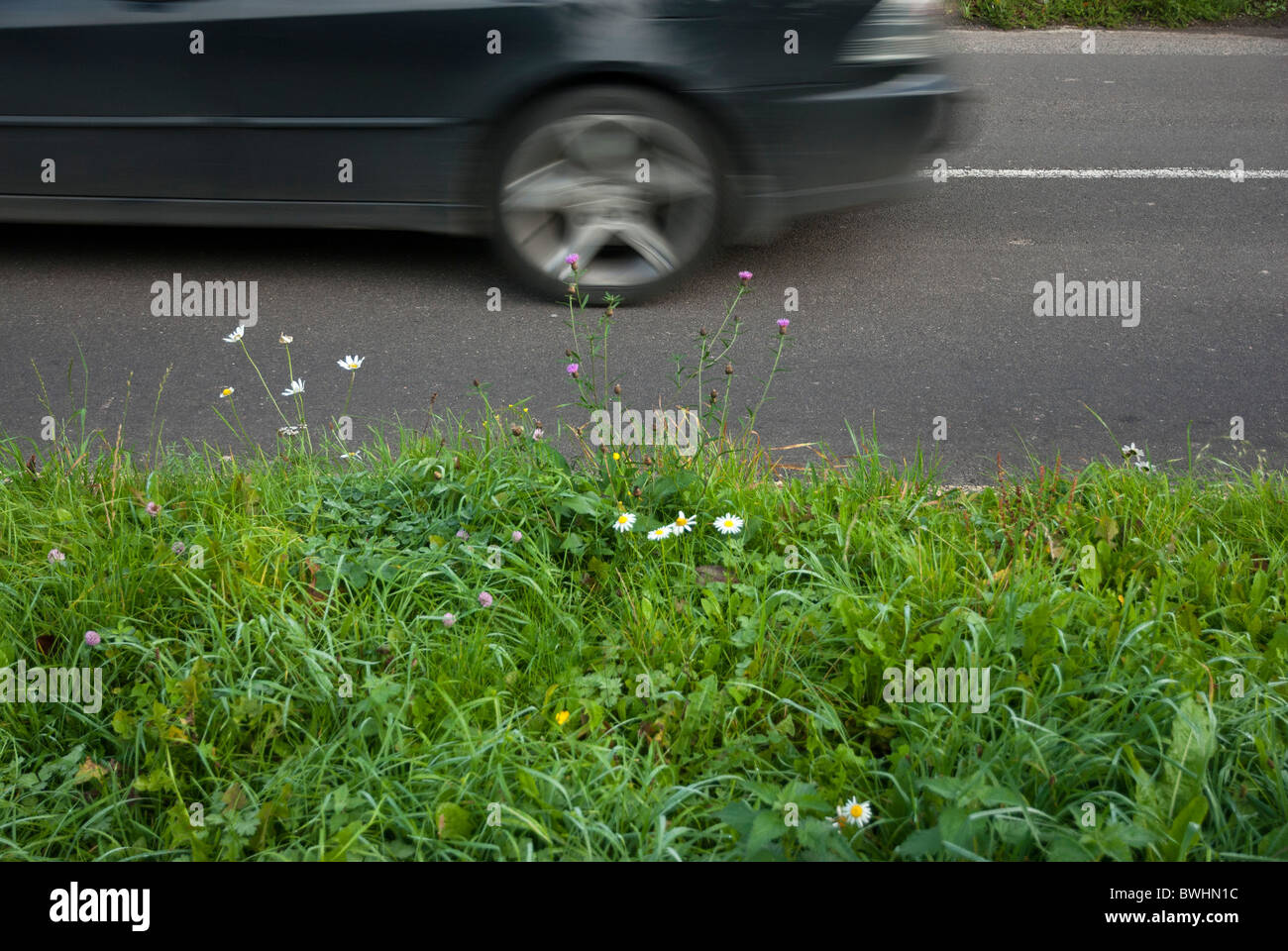 Car speeding past grass verge Stock Photo - Alamy