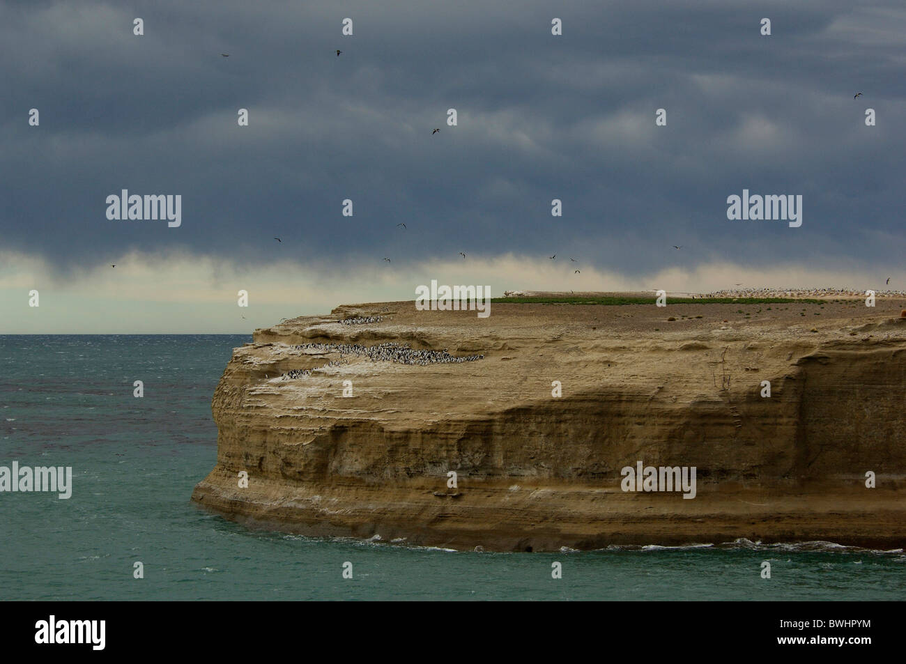 Coast Parque Nacional Monte Leon Patagonia Argentina South America ...