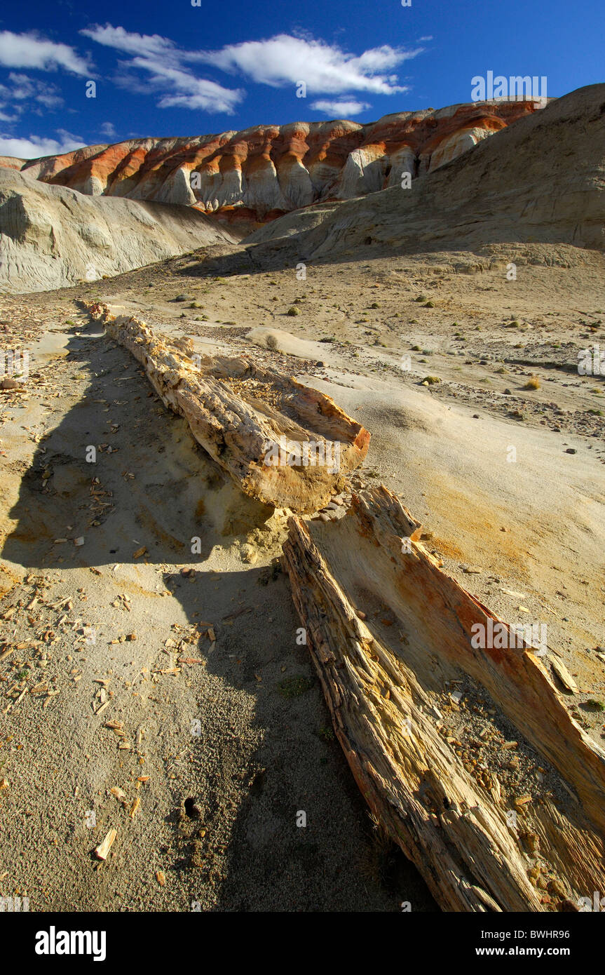 Petrified Wood Bosque Petrificado Monumento Natural Provincial ...