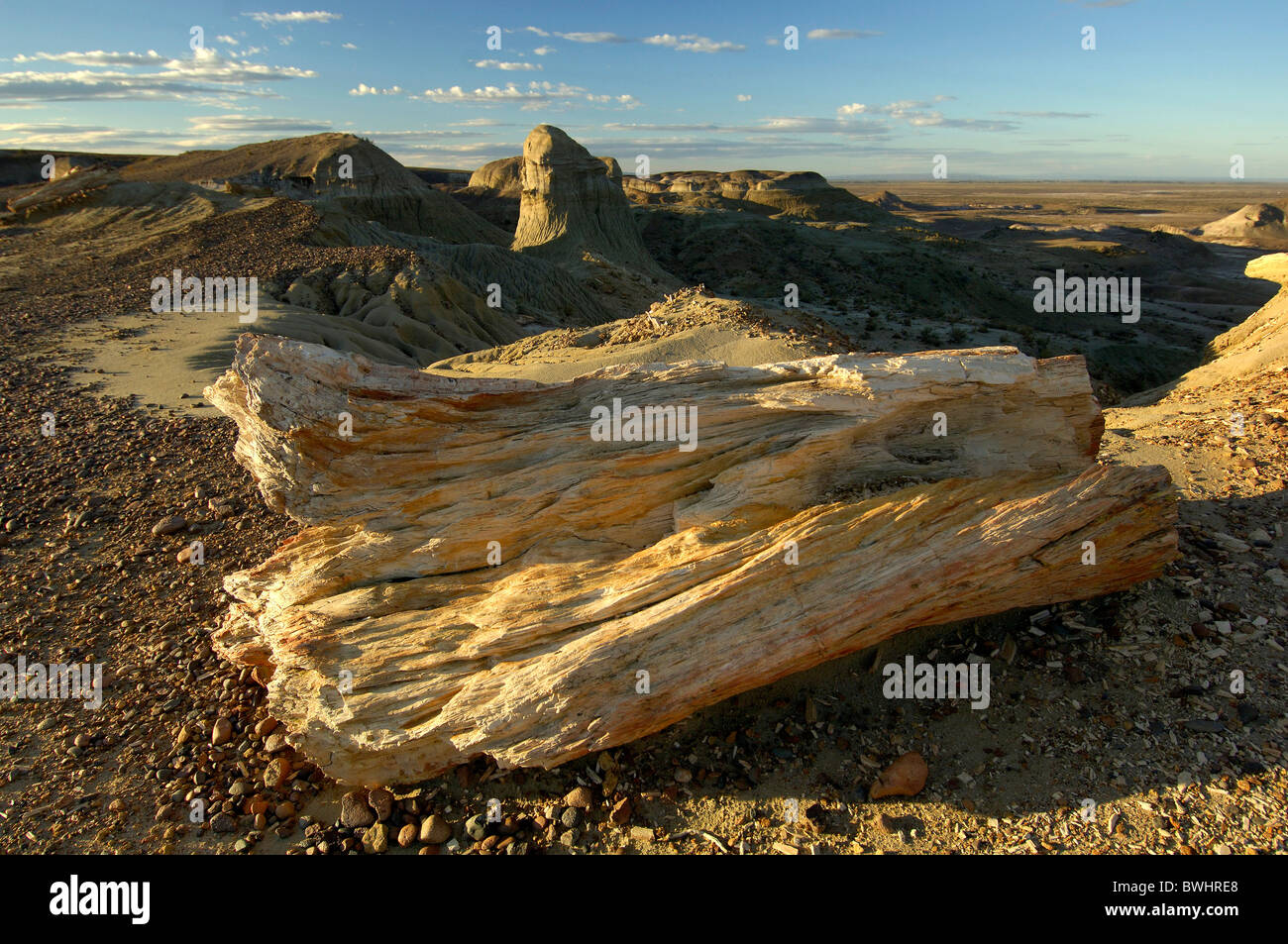 Petrified Wood Bosque Petrificado Monumento Natural Provincial ...