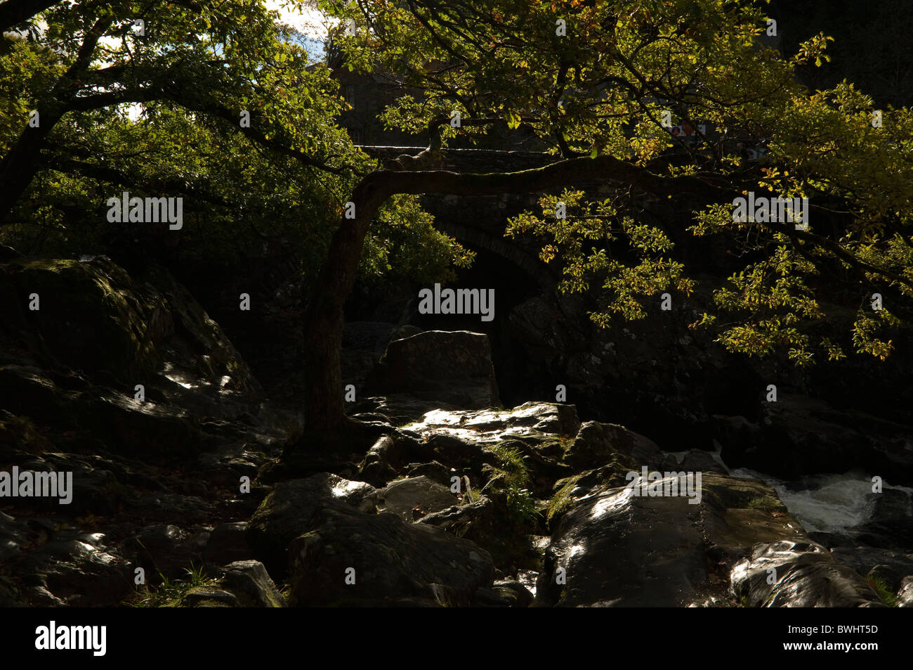 Betws coed bridge river hi-res stock photography and images - Alamy