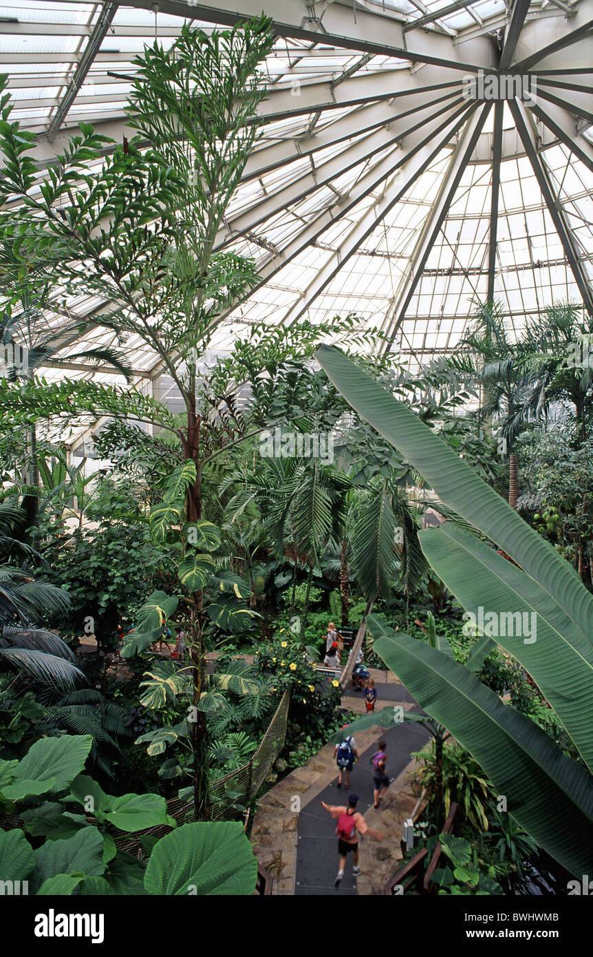Parc phoenix Le diamond Vert greenhouse tropical tropical house dome ...