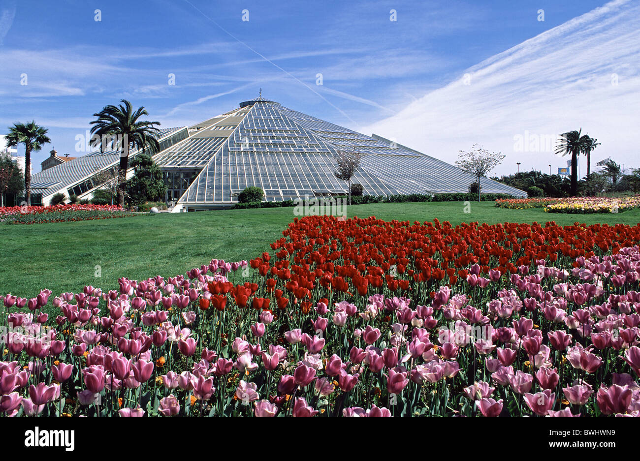 Parc phoenix hi-res stock photography and images - Alamy