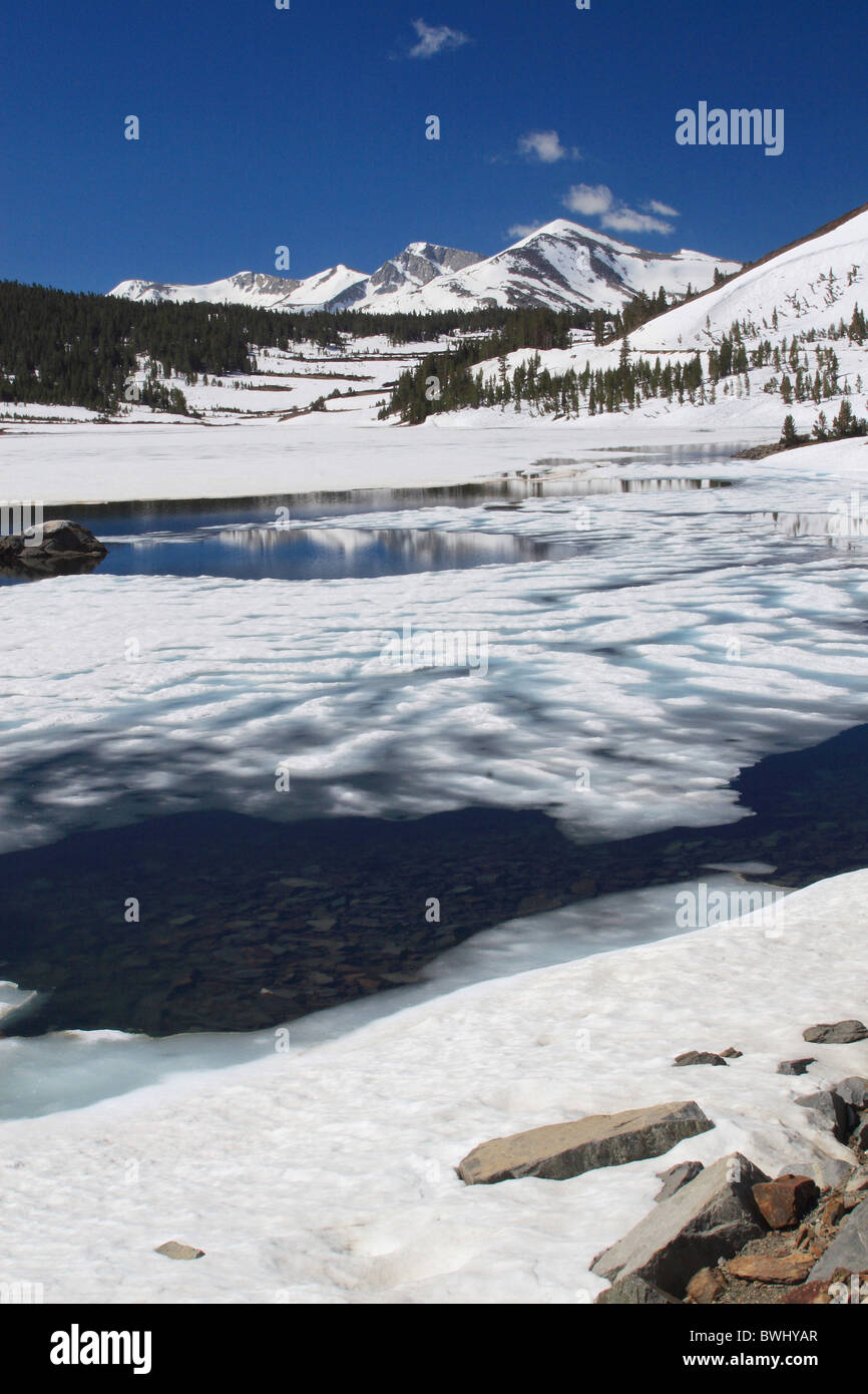 scenery landscape Lake Tioga Tioga pass near Yosemite national park ...