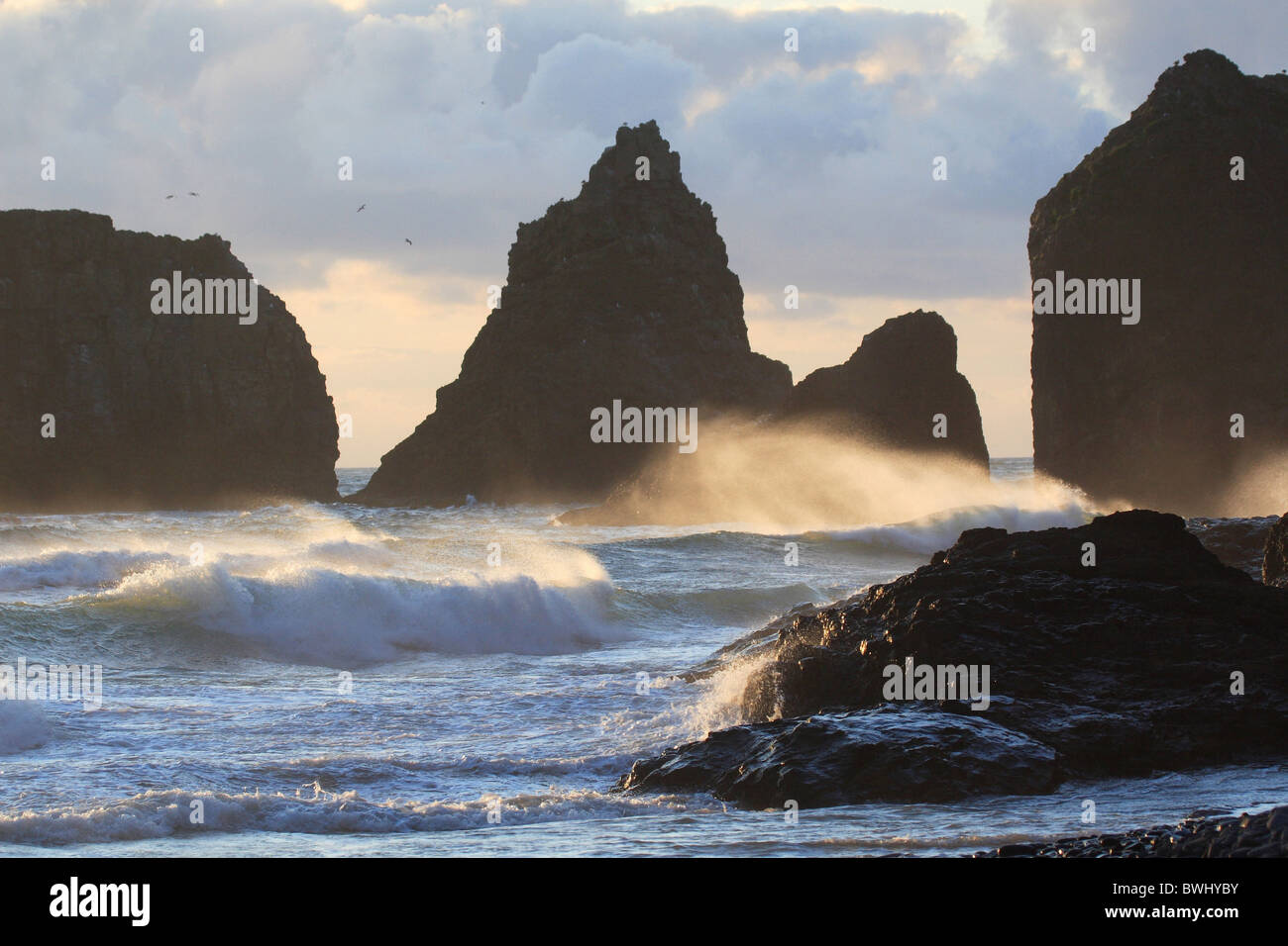 scenery landscape US west coast Pacific coast coast cliff rock Monolith ...