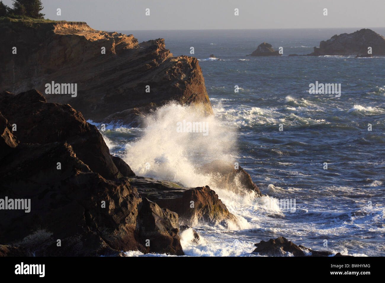 scenery landscape cape Arago cape Arago State Park US west coast ...