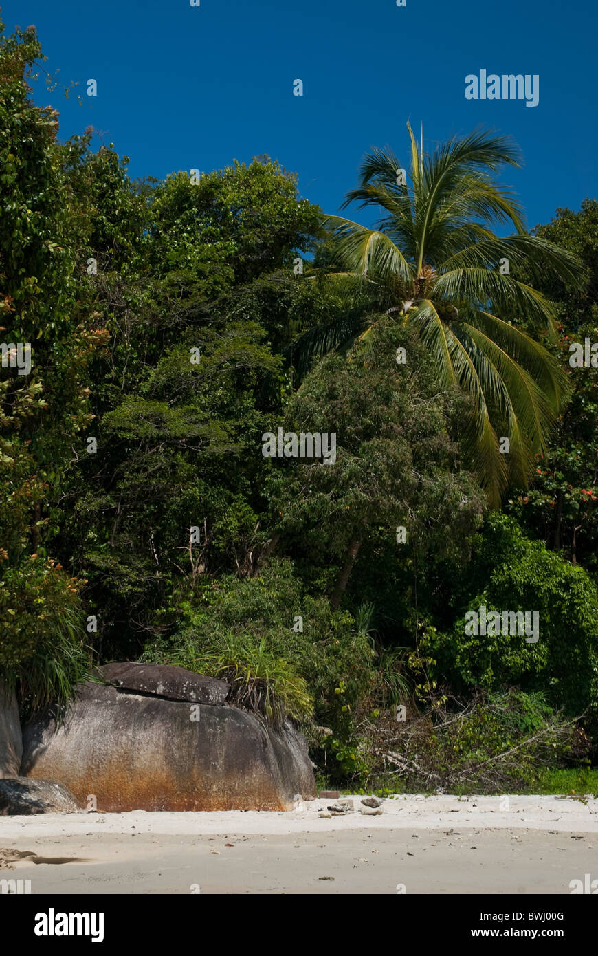 Beautiful beach at Pulau Perhentian, Malaysia Stock Photo - Alamy