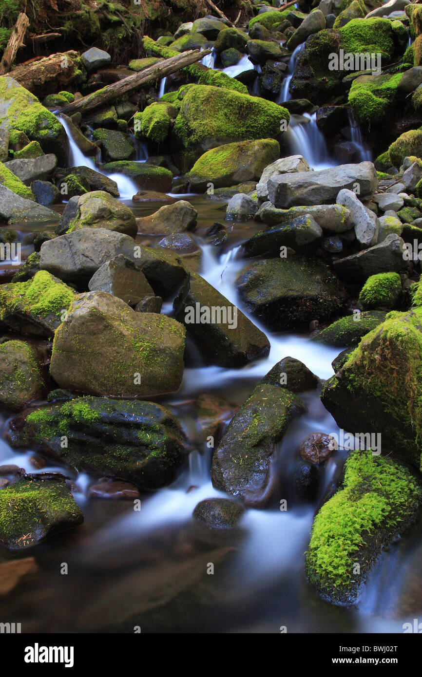 scenery landscape Sol Duc Valley Olympic national park park ...