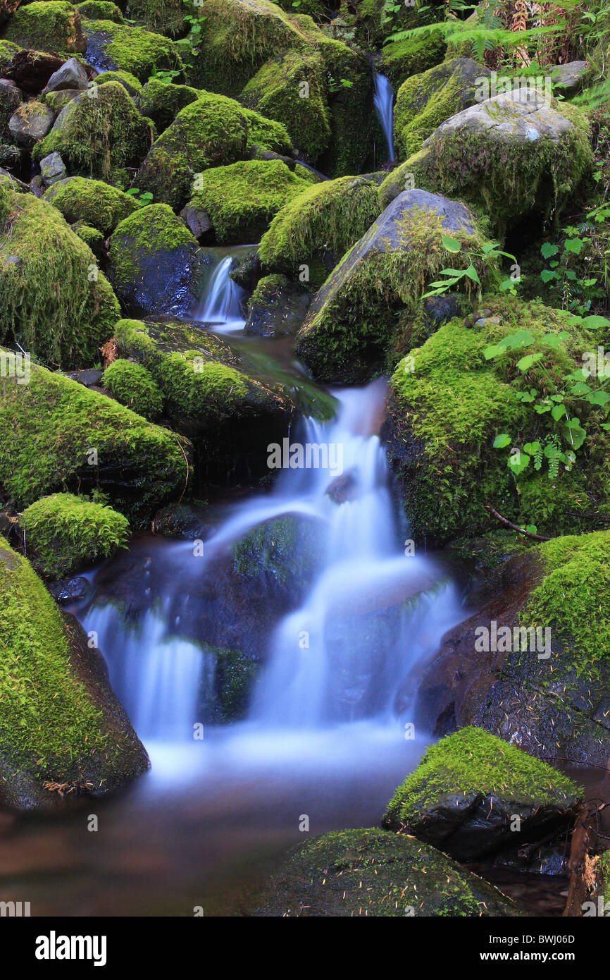 scenery landscape Sol Duc Valley Olympic national park park ...