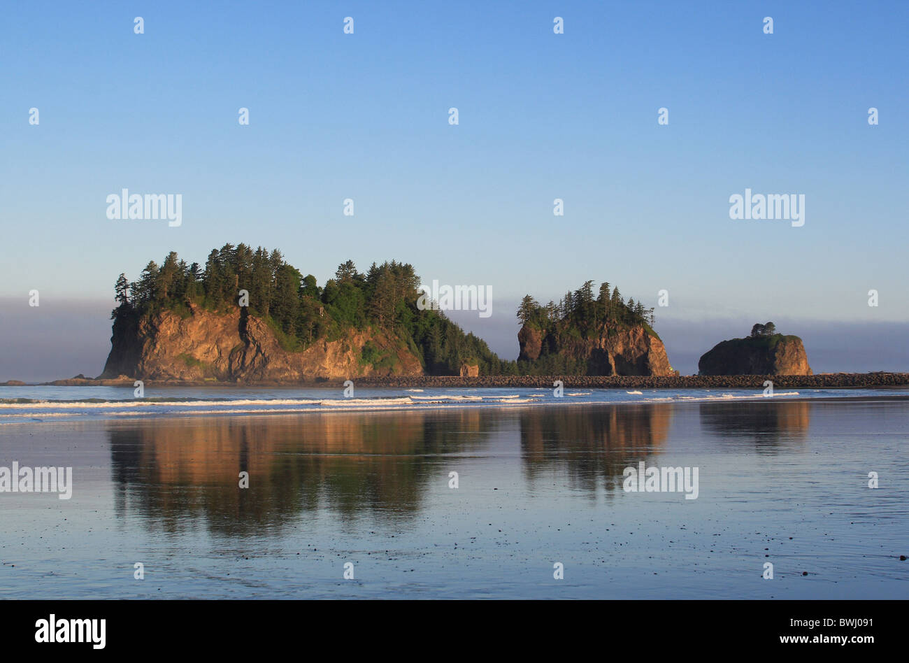 scenery landscape First Beach Olympic national park park sea coast ...