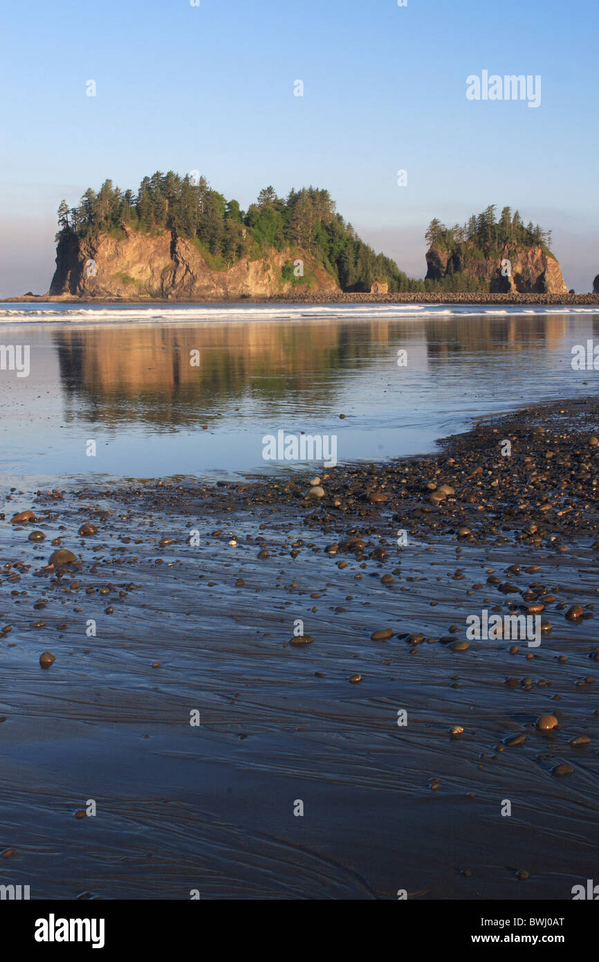 scenery landscape First Beach Olympic national park park sea coast ...