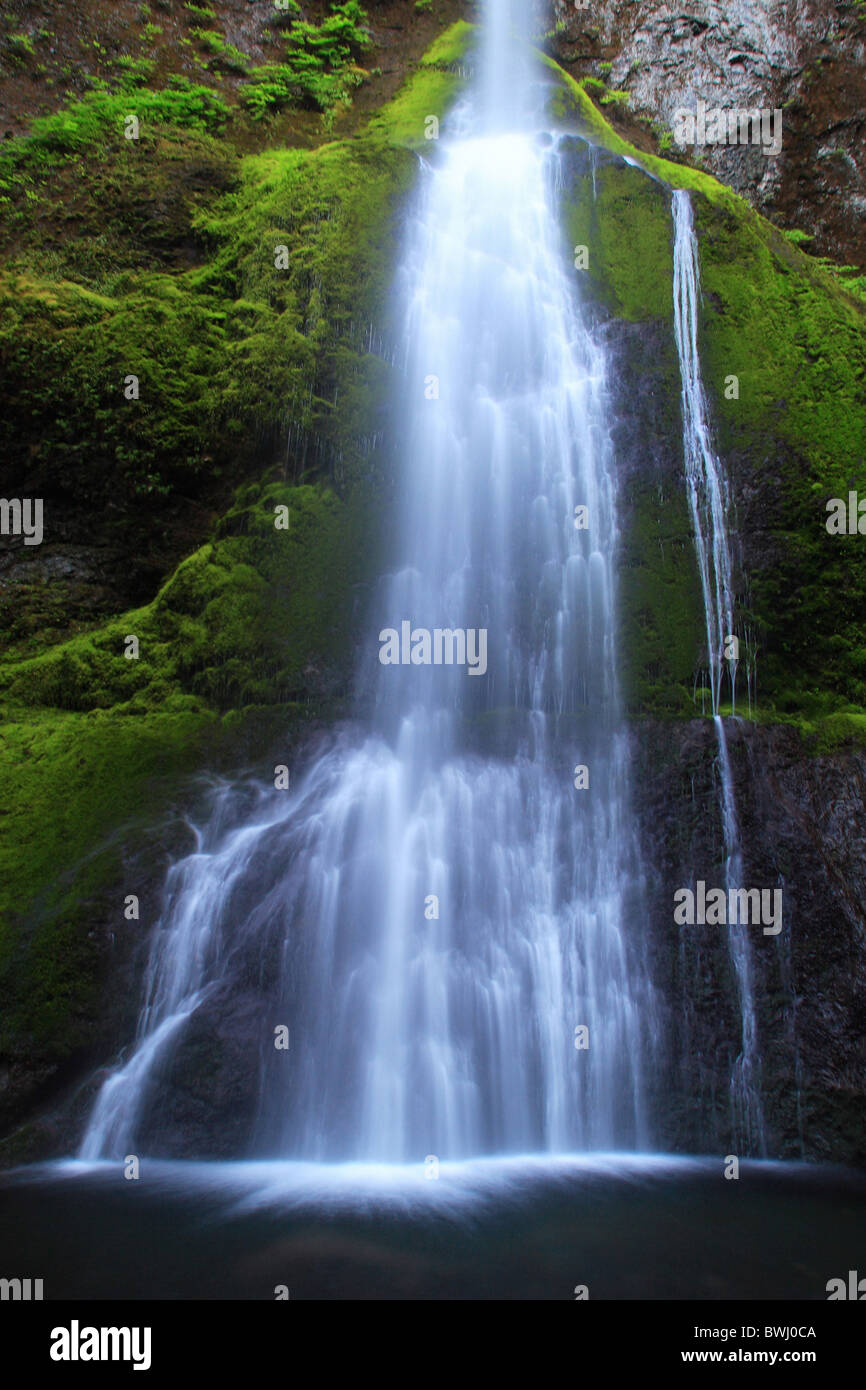 scenery landscape Marymere Falls Olympic national park park cascades ...