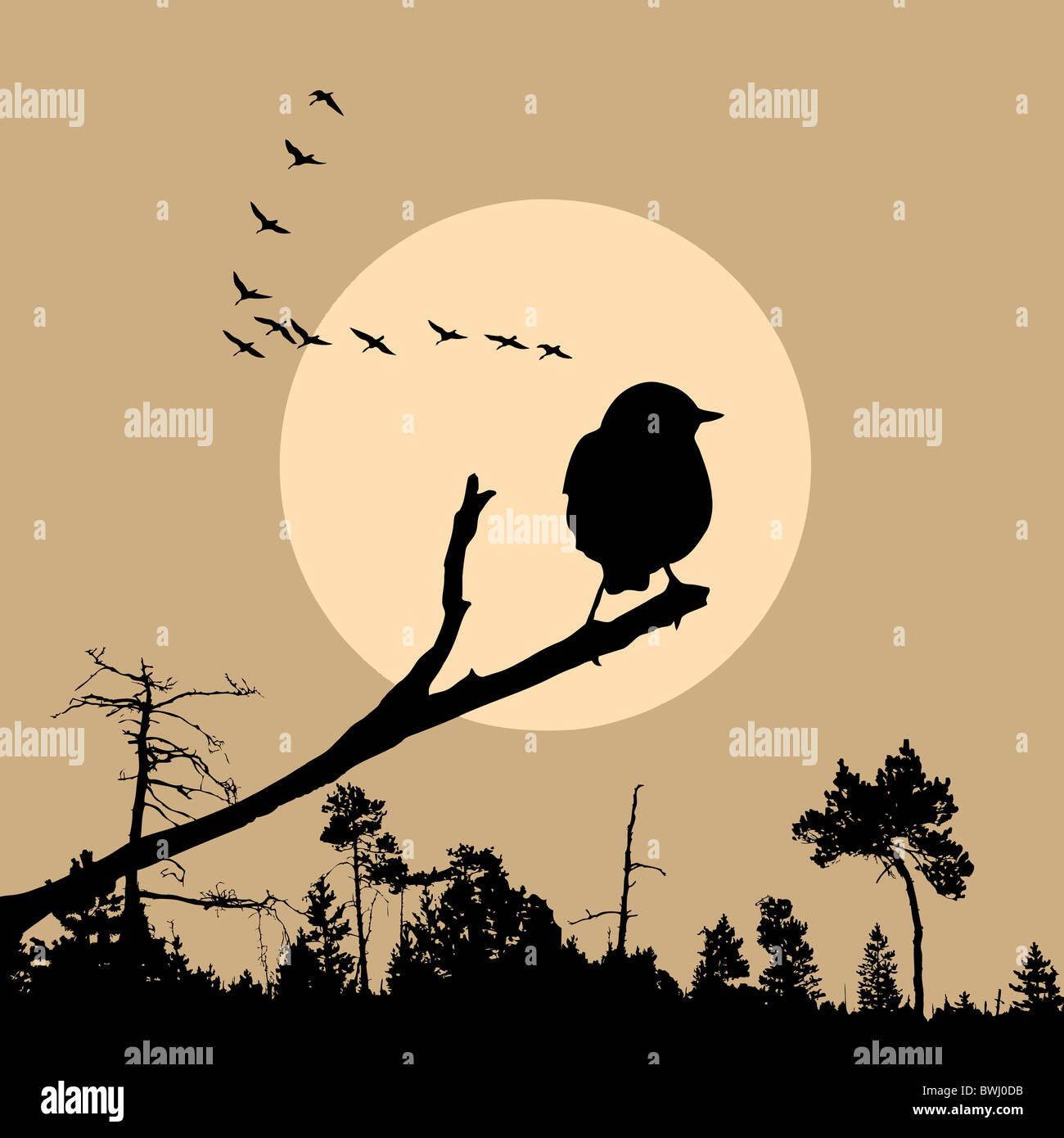 vector illustration of the bird on branch Stock Photo - Alamy
