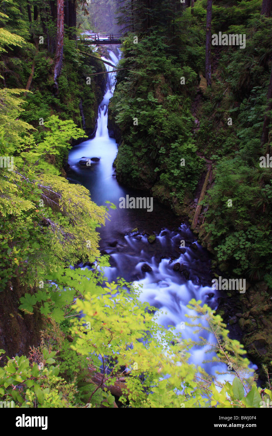 scenery landscape Sol Duc Valley Olympic national park park ...