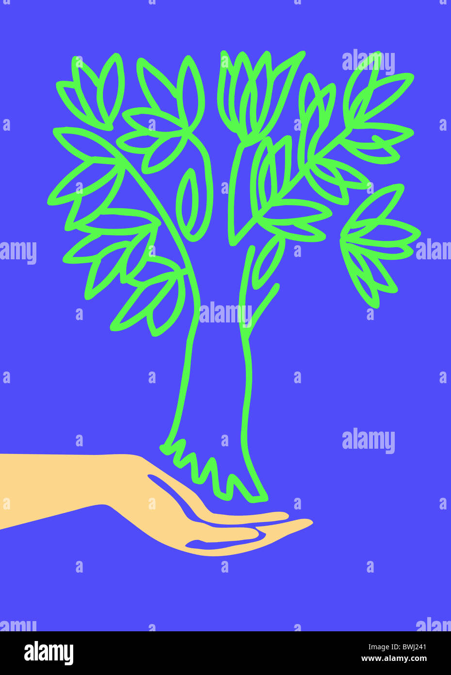 Hand holding tree sketch hi-res stock photography and images - Alamy