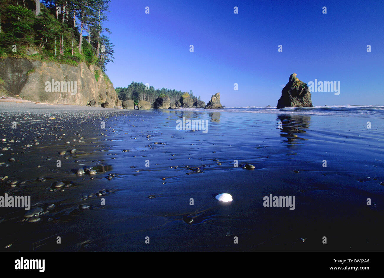 scenery landscape Ruby Beach Olympic national park park sea coast ocean ... scenery landscape Ruby Beach Olympic national park park sea coast ocean ...
