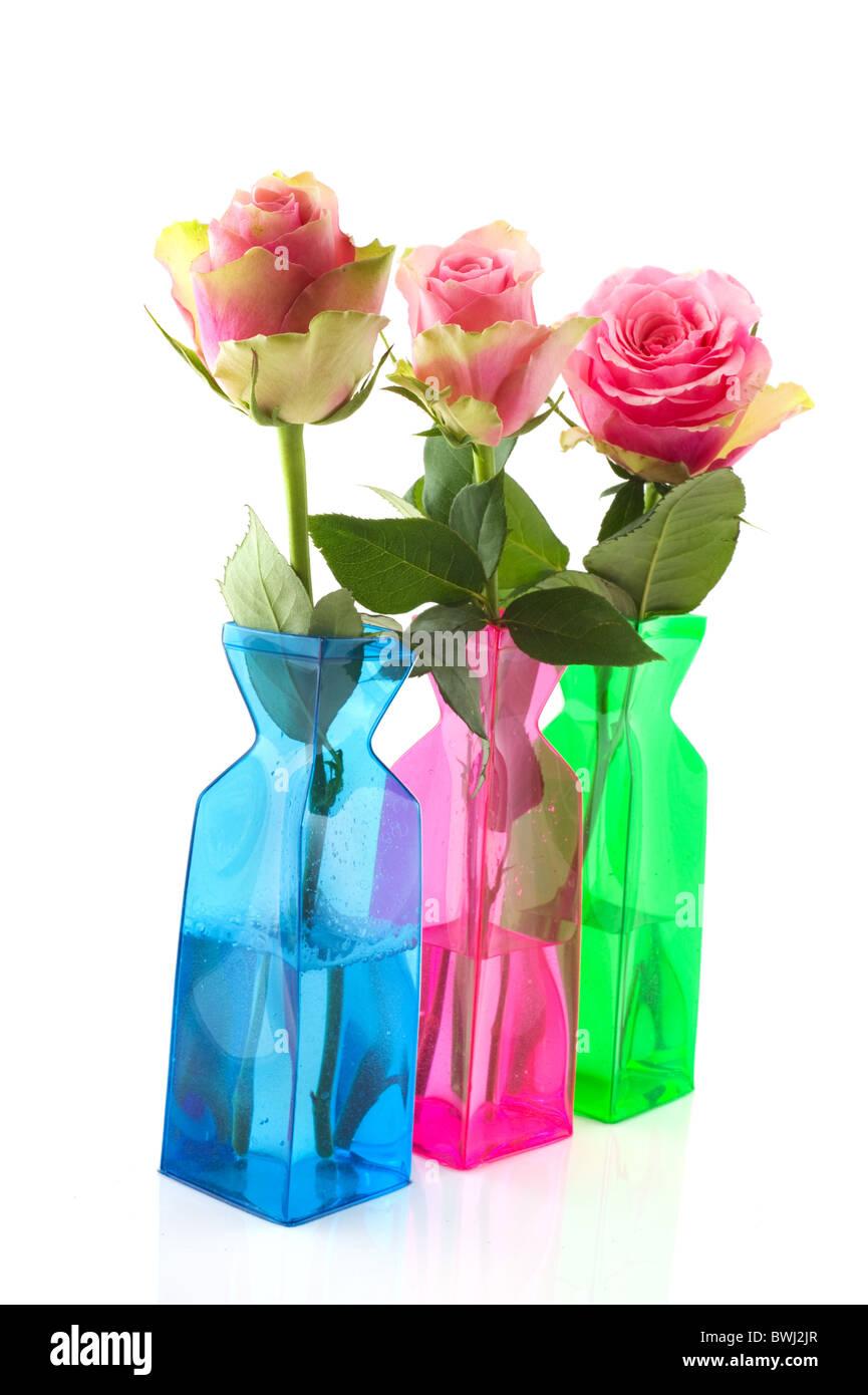 beautiful pink roses in colorful modern vases isolated over white Stock ...
