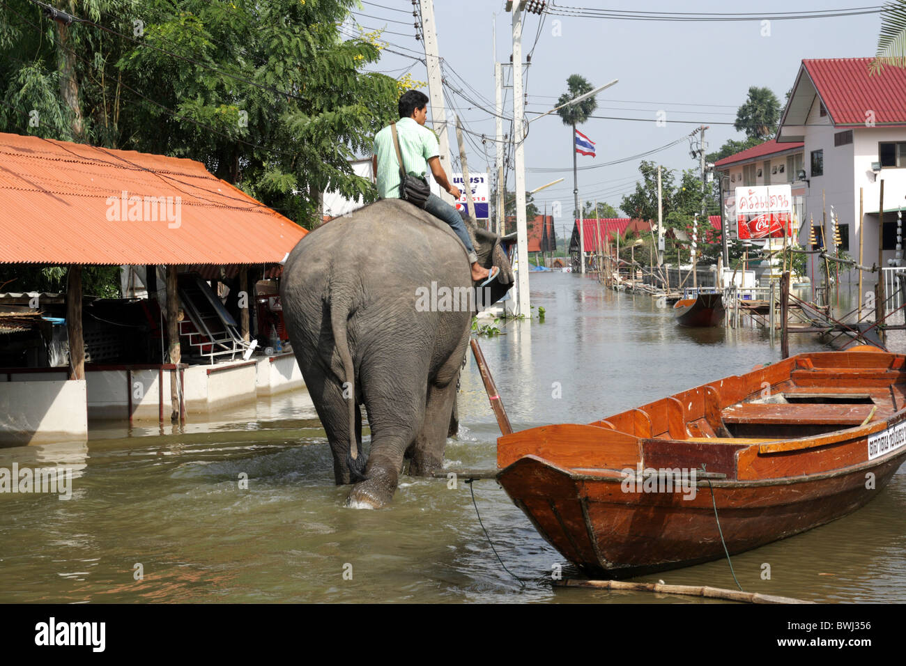 Thai elephant , floodwaters in Ayothaya Floating market Stock Photo - Alamy