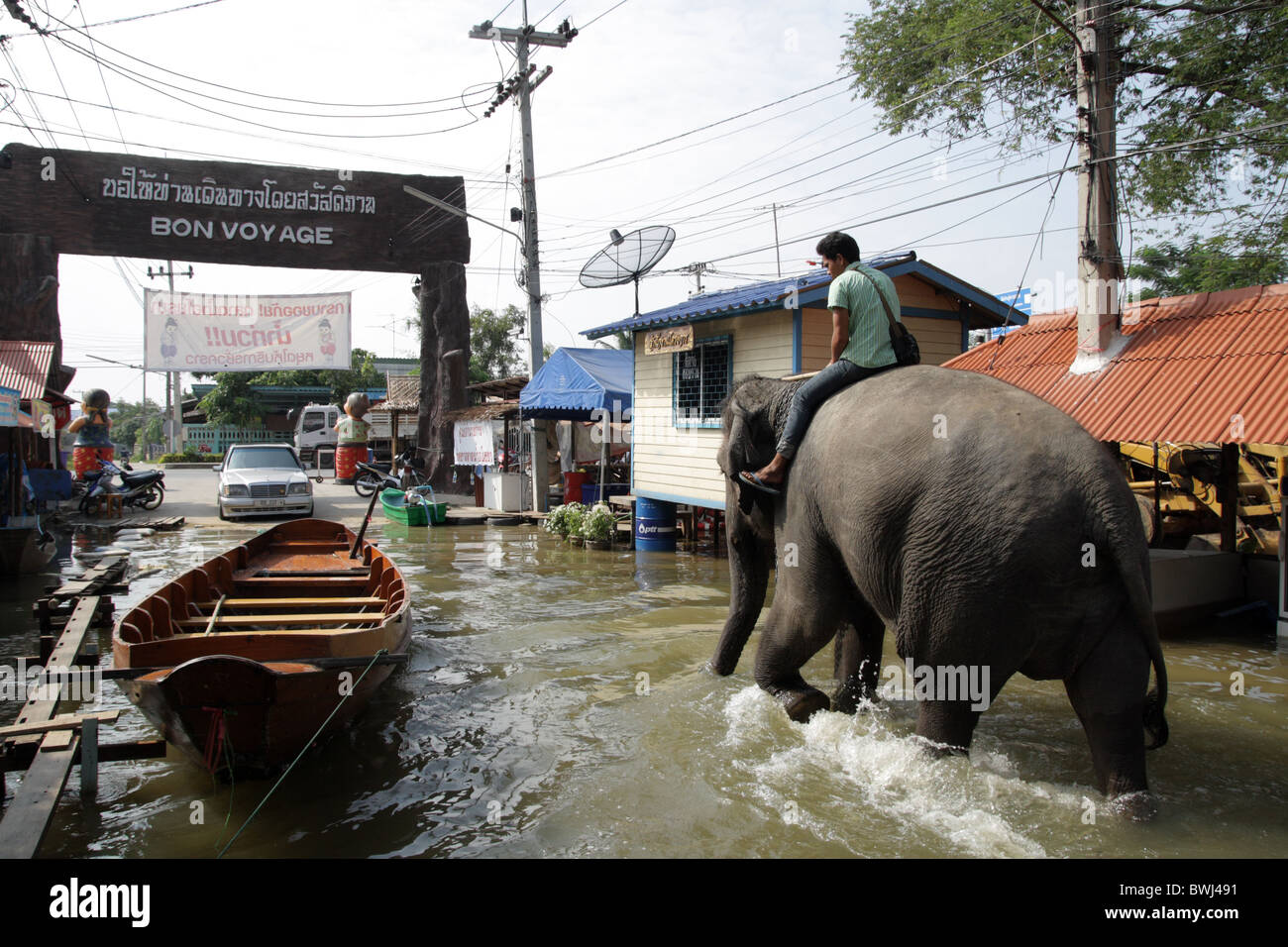 Thai elephant , floodwaters in Ayothaya Floating market Stock Photo - Alamy