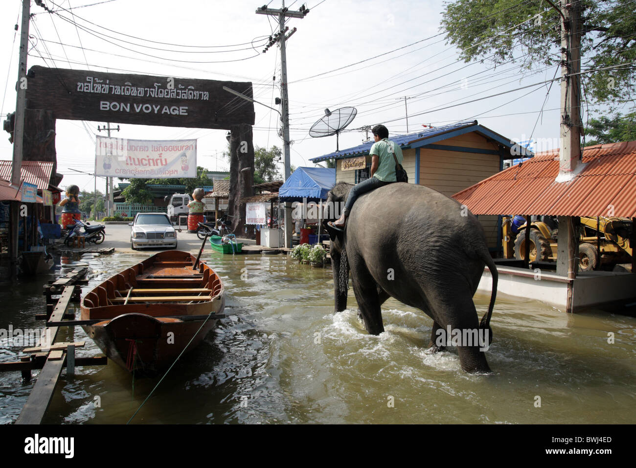 Thai elephant , floodwaters in Ayothaya Floating market Stock Photo - Alamy