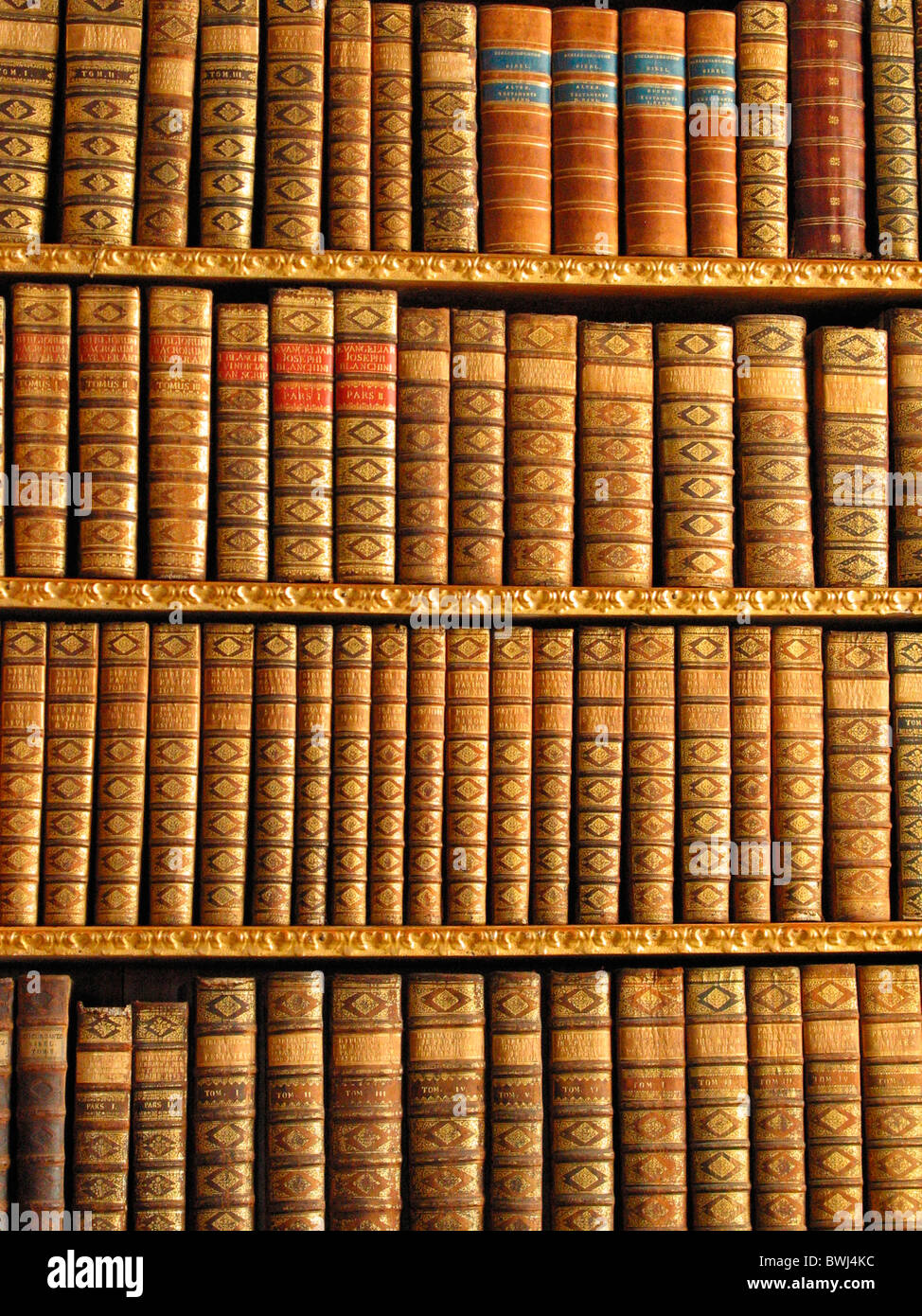 10820599 hi-res stock photography and images - Alamy