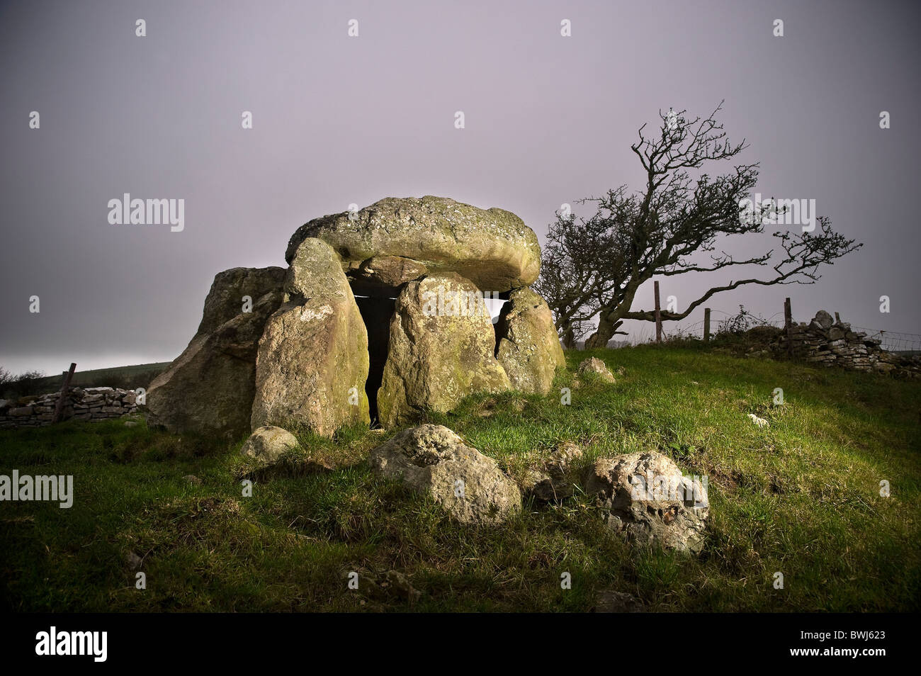The Hellstone megalithic tomb near Chickerell, Dorset, UK Stock Photo ...