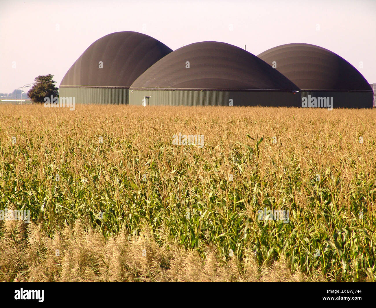 Fermentation of biomass hi-res stock photography and images - Alamy