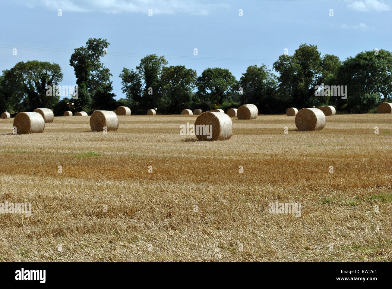 Harvestime Stock Photos & Harvestime Stock Images - Alamy