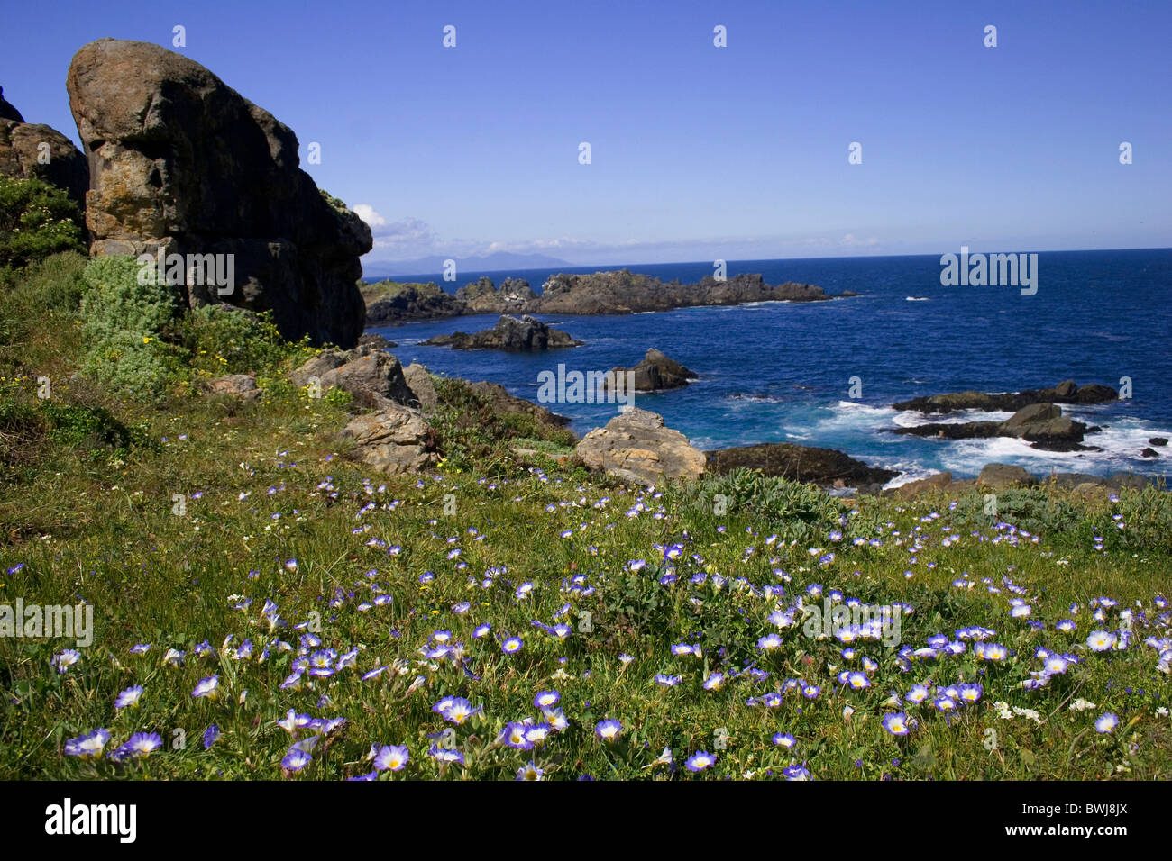 Chile South America central Chile los Molles coast scenery landscape ...