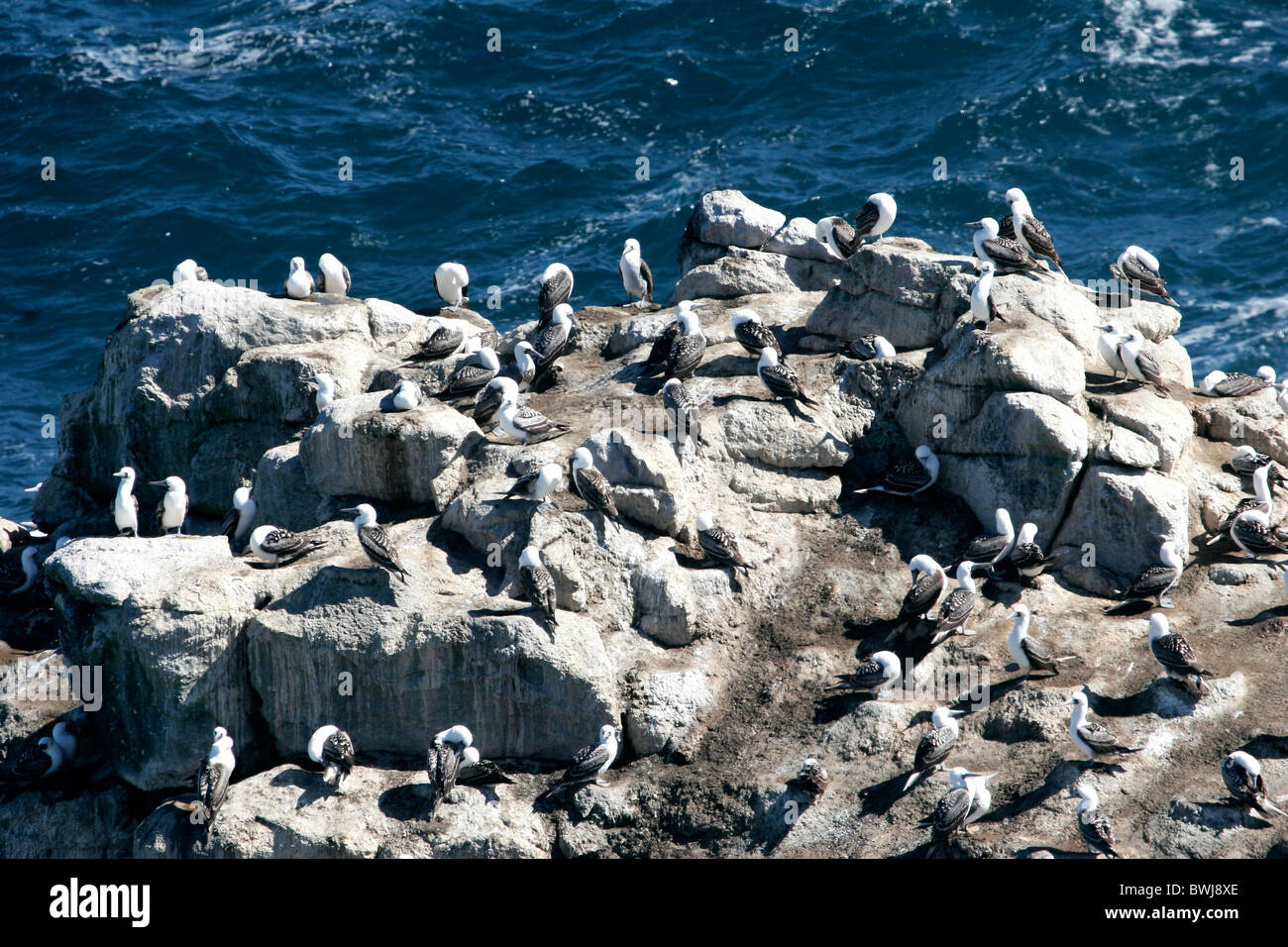 Los molles hi-res stock photography and images - Alamy