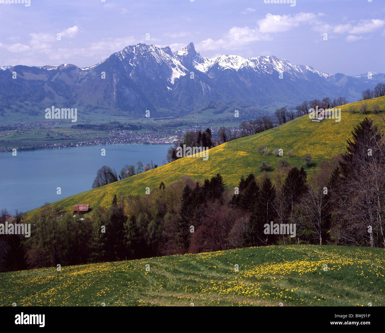 Lake Thun Gwatt Thun scenery landscape spring lake mountains Alps ...