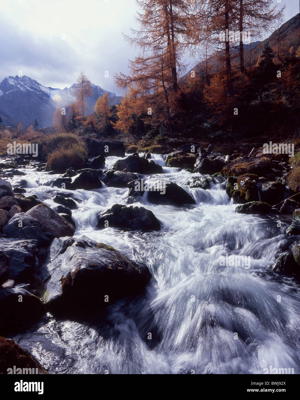 Sertigtal Sertig municipality Davos autumn scenery landscape larches ...