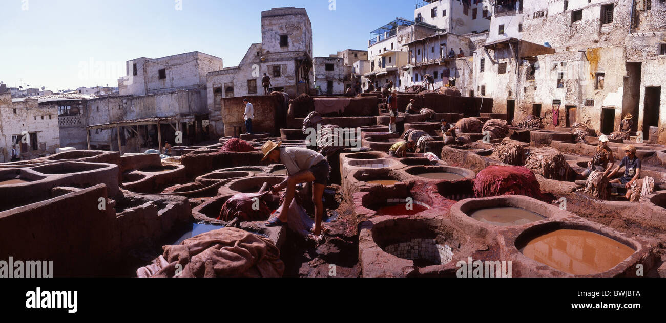 Fez tanning Morocco Africa north Africa Stock Photo - Alamy