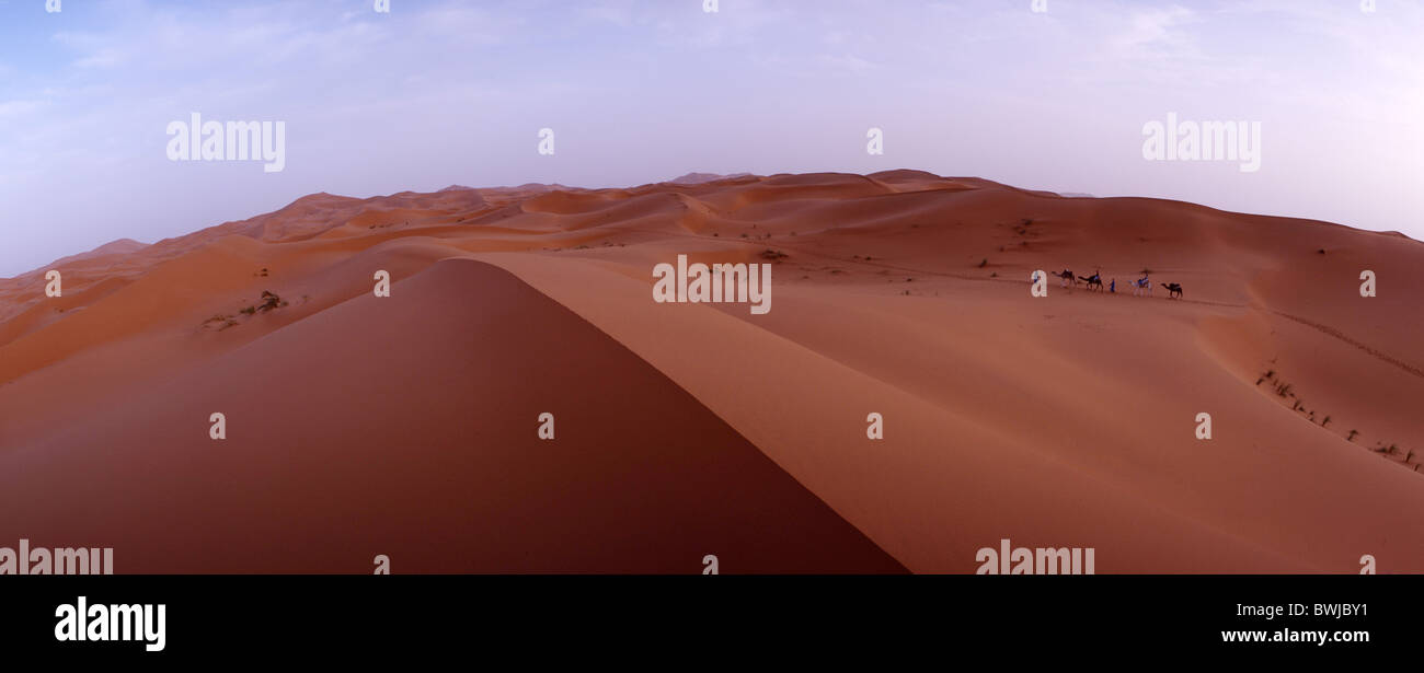 Sahara desert scenery landscape sand dunes mood dusk twilight panorama ...
