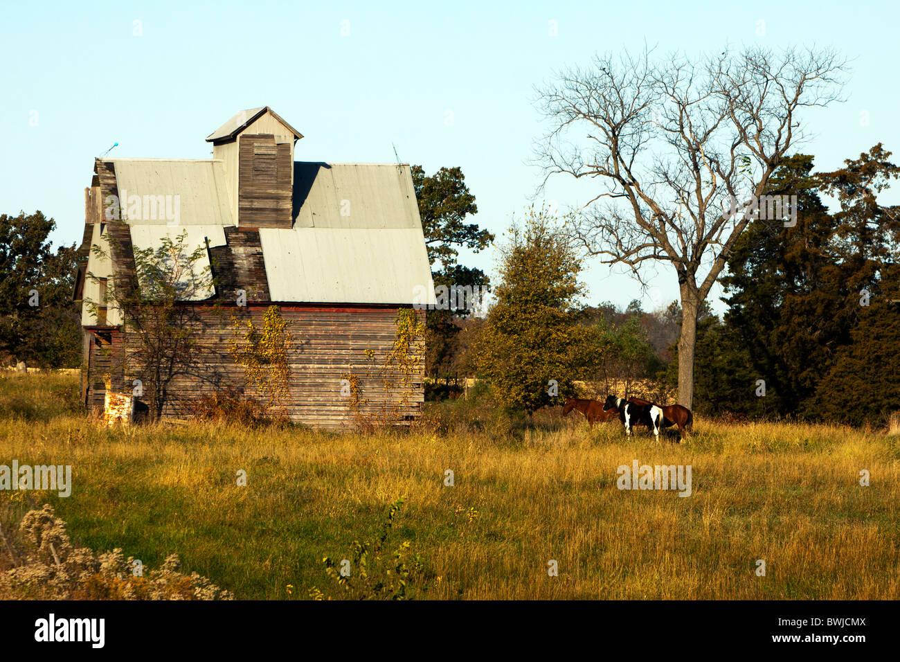 Fall barn hi-res stock photography and images - Alamy